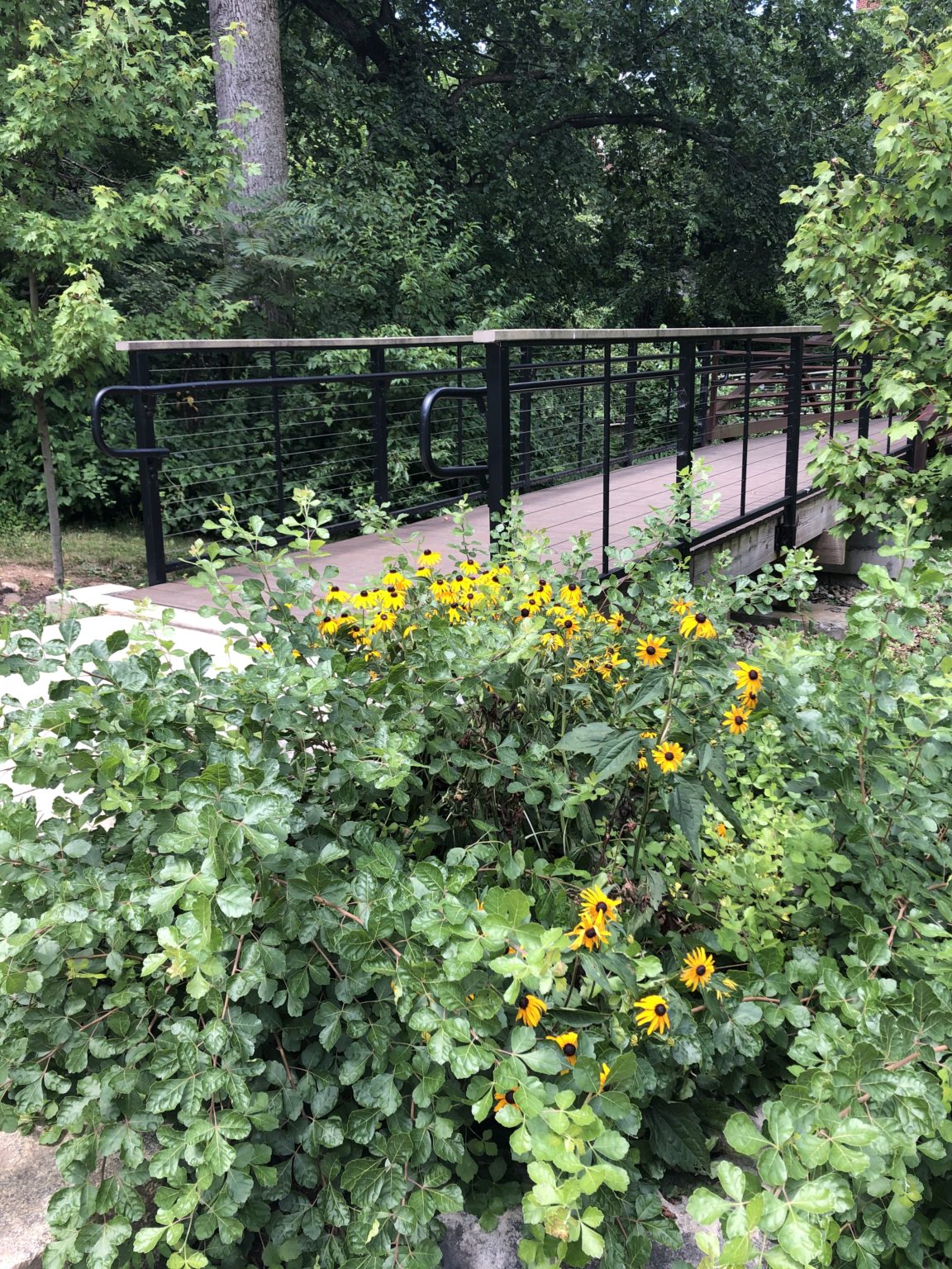 Stony Run Trail, Stoney Run Path, Stony Run Park | Baltimore City Parks